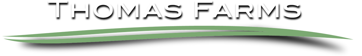 RETAIL STORES | Thomas Farms